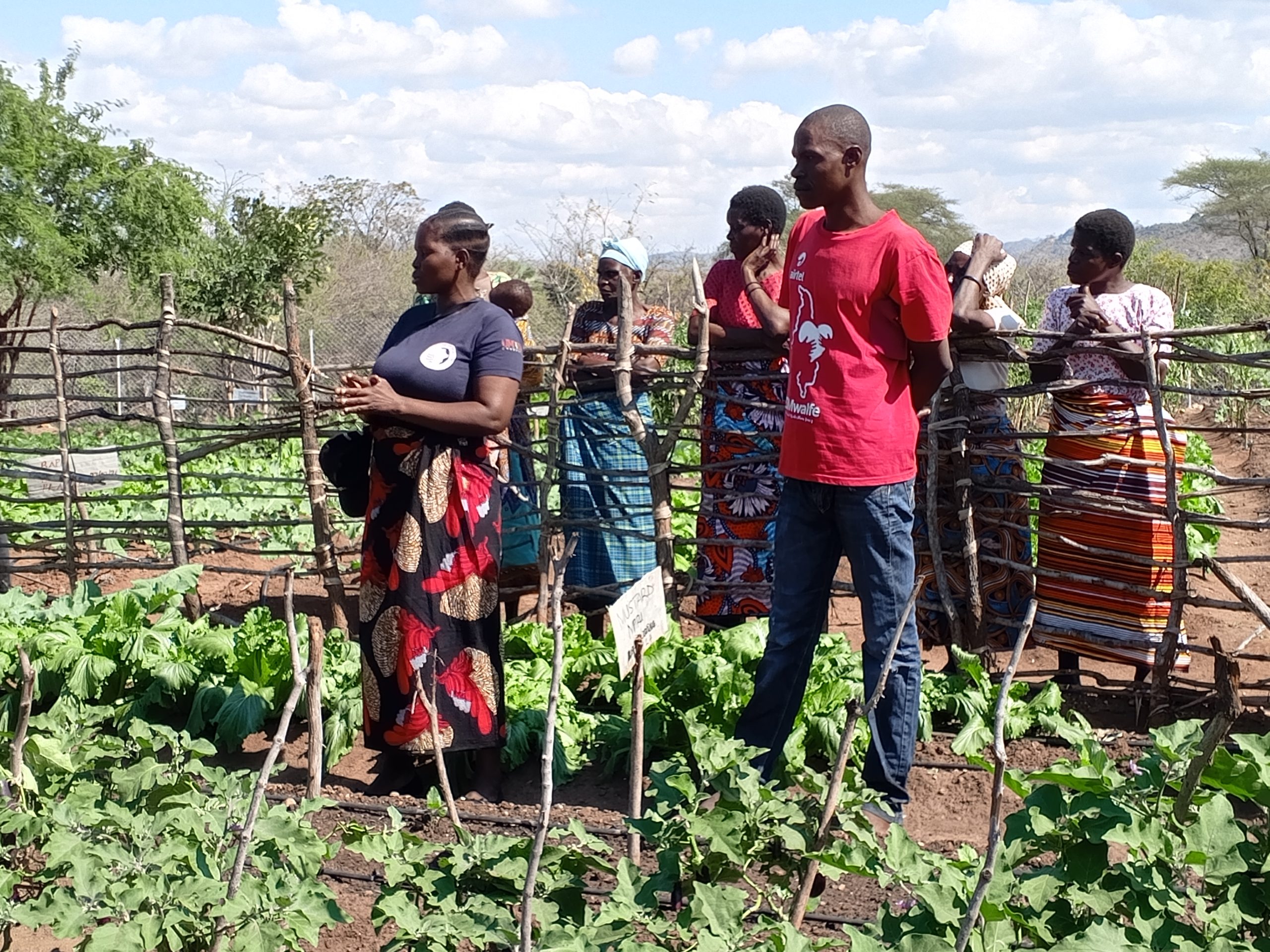 Farmers urged to embrace integrated farming - Leyman Publications